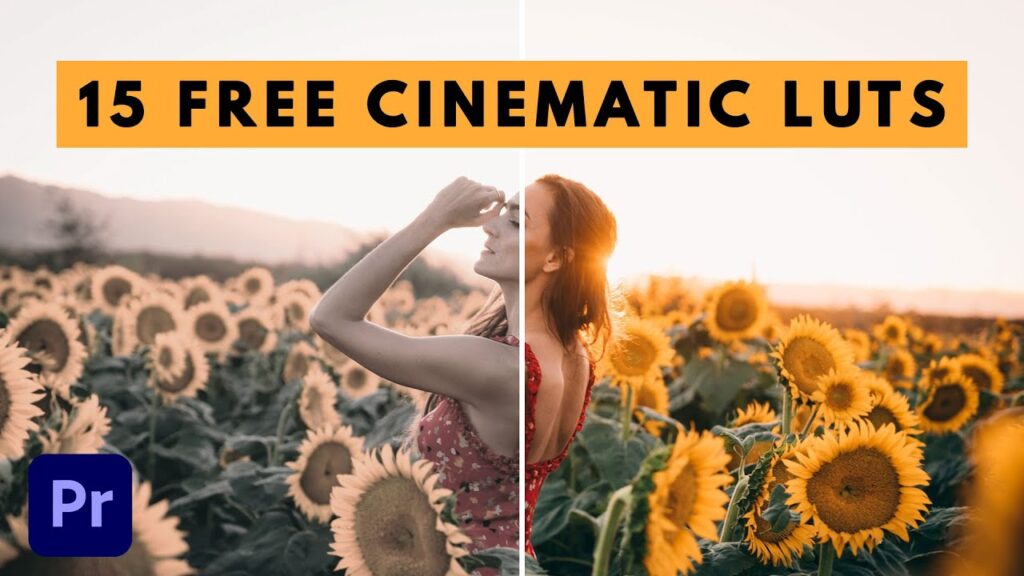 5 Free Cinematic LUTs for Premiere Pro